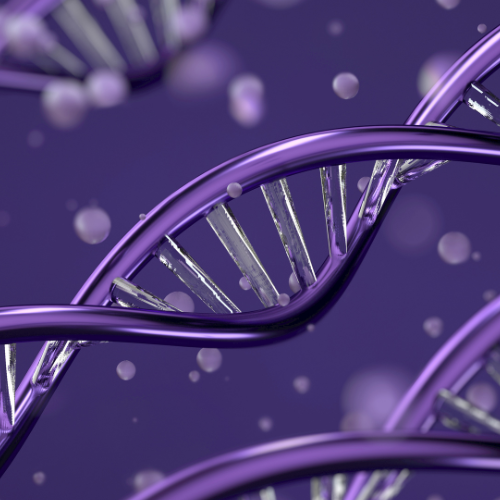 Epi One on StartEngine – Reg CF Investment Crowdfunding Raise Feed