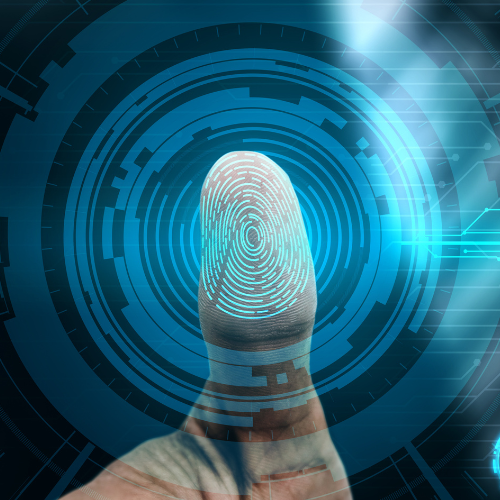 Pahu on StartEngine – Reg CF Investment Crowdfunding Raise Feed