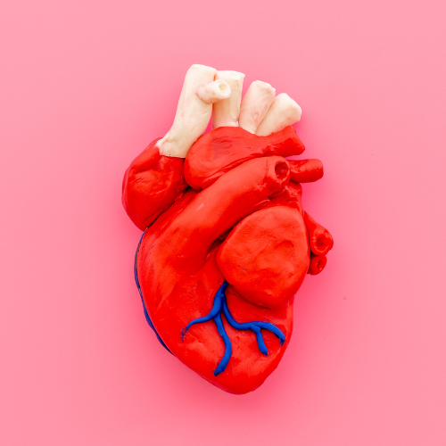 Future Cardia on StartEngine – Reg CF Investment Crowdfunding Raise Feed